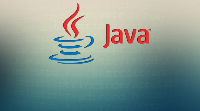 Java Certification Course: Lite Edition